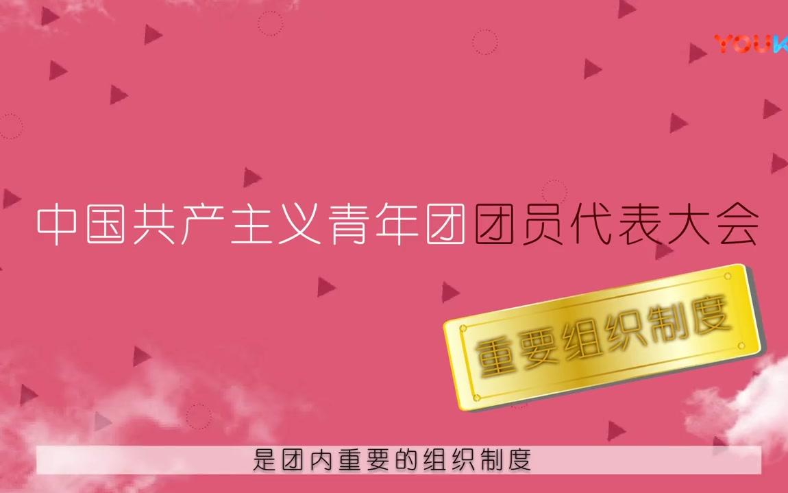 《团代会知多少?》动画版