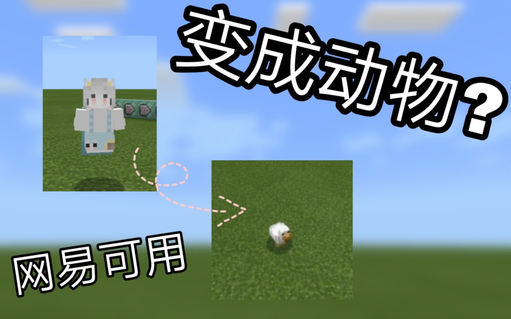 [MCBE]如何用指令伪装成动物(小伙伴:?)(易学)