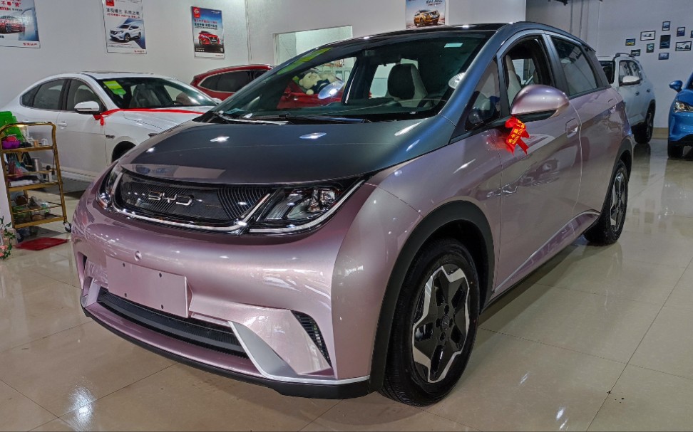 涨价也要抢 比亚迪海豚 2021时尚版