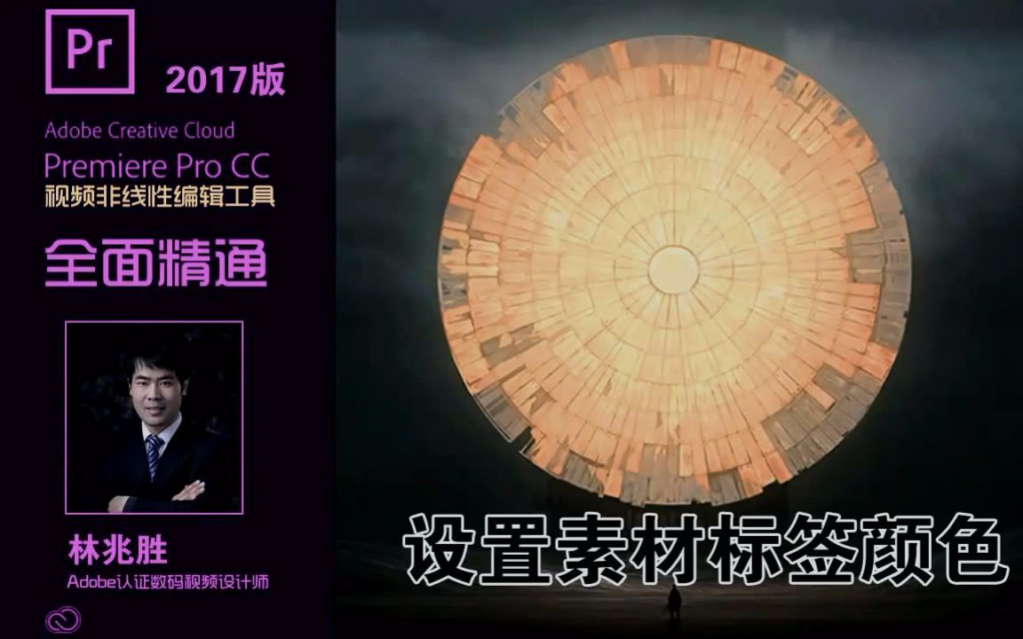 PR素材标签颜色管理视频:设置标签颜色分类素材