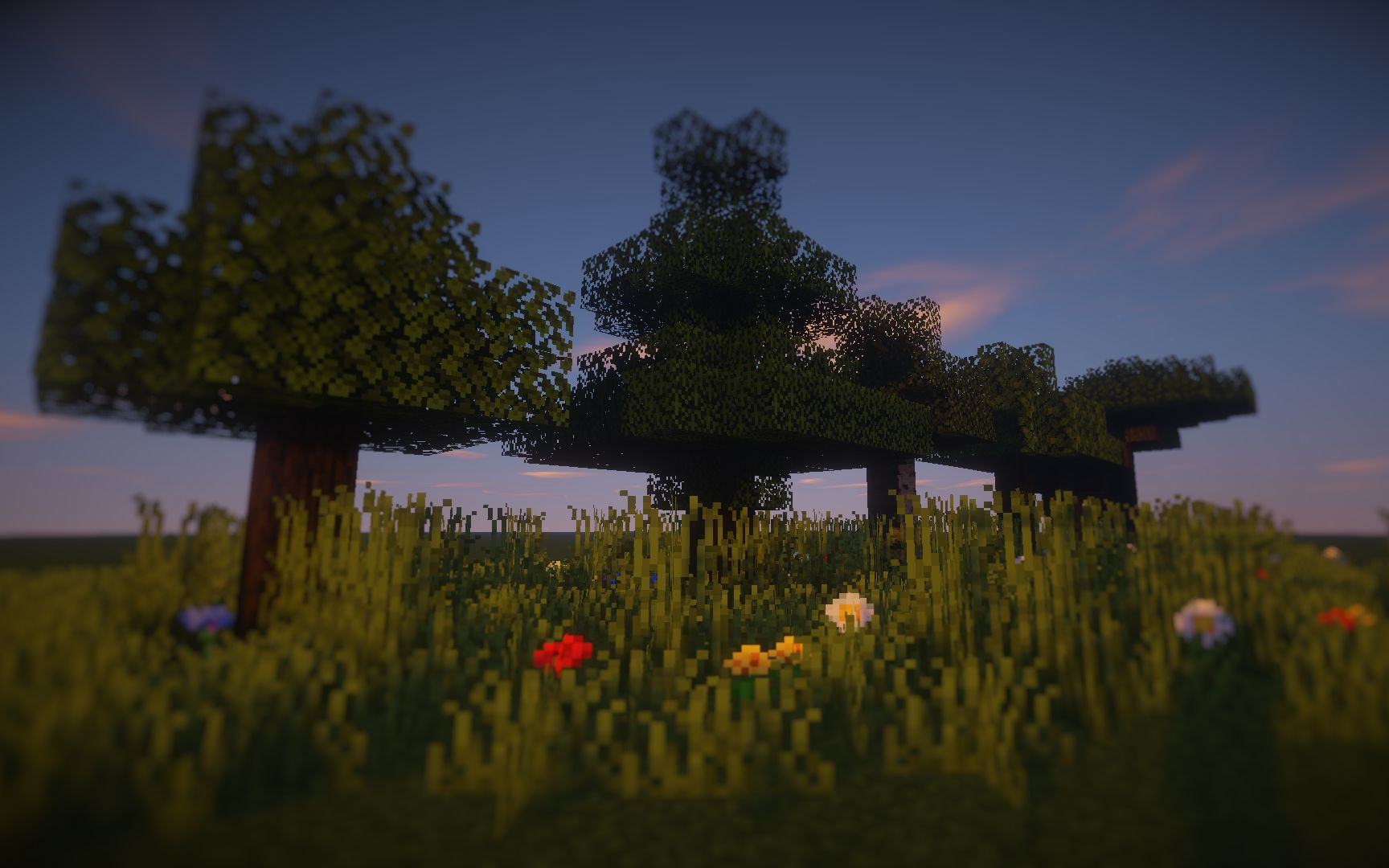 你真的了解我的世界的树木嘛?