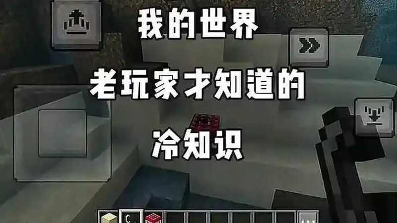 这些我的世界冷知识你都知道吗