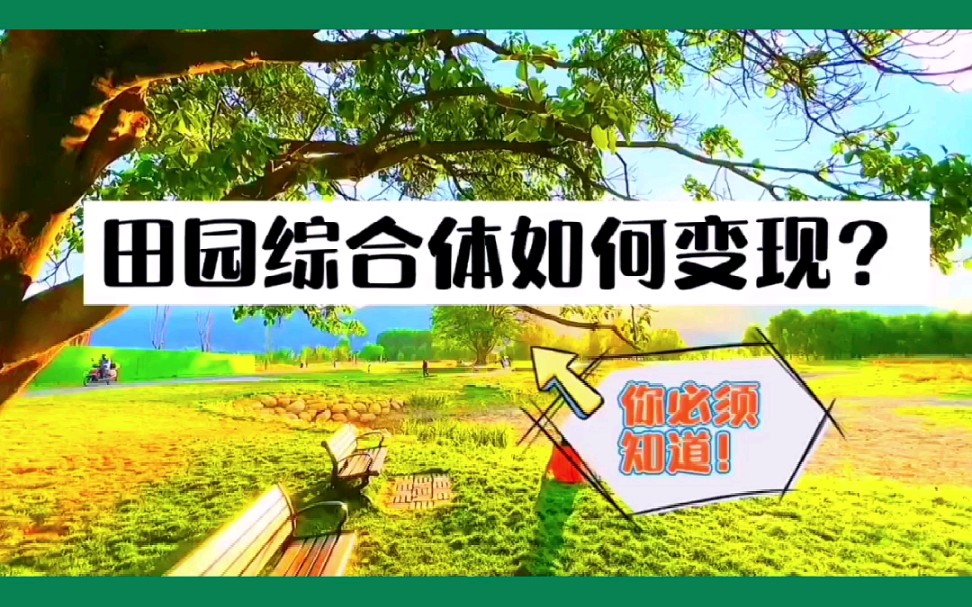 田园综合体项目至少可以进行三次变现#田园综合体#田园综合体规划...