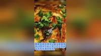 家电清洗行业现状和前景,家电清洗设备多少钱一台,家电清洗培训速成...