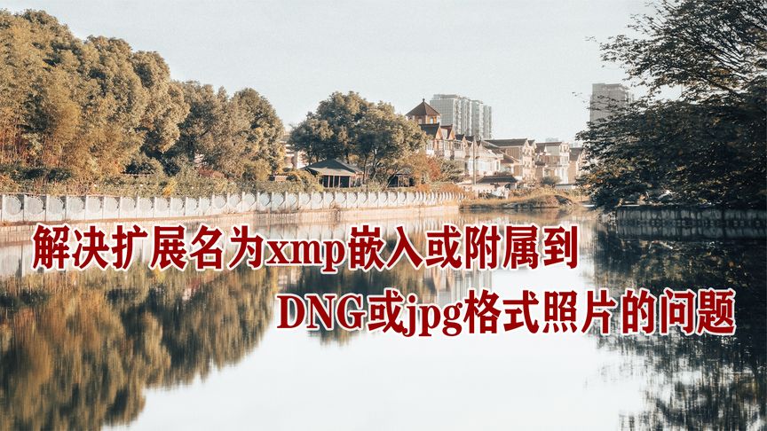ACR与后期:解决扩展名为xmp嵌入或附属到DNG或jpg格式照片的问题