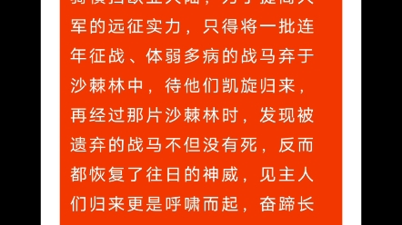 ....美苏太空争霸的秘密武器.神奇的沙棘。沙棘果是唯一被誉为“vc之王