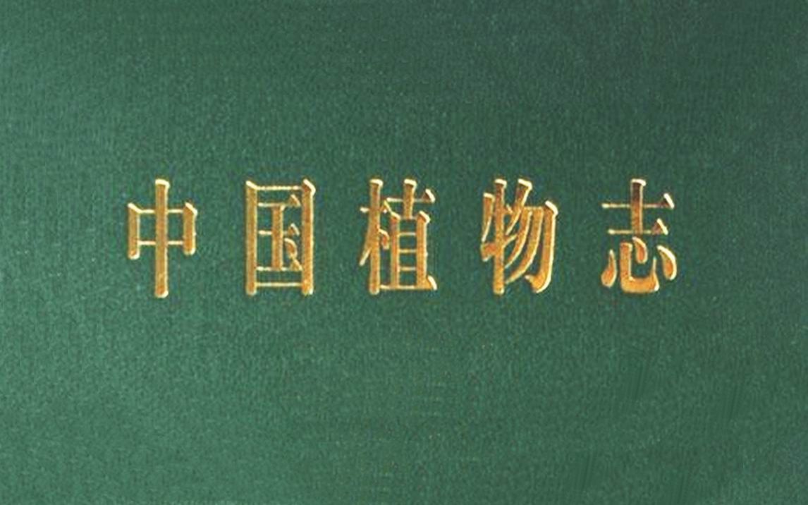...上篇幅最大、种类最丰富,全面总结我国维管束植物系统分类的一部巨著
