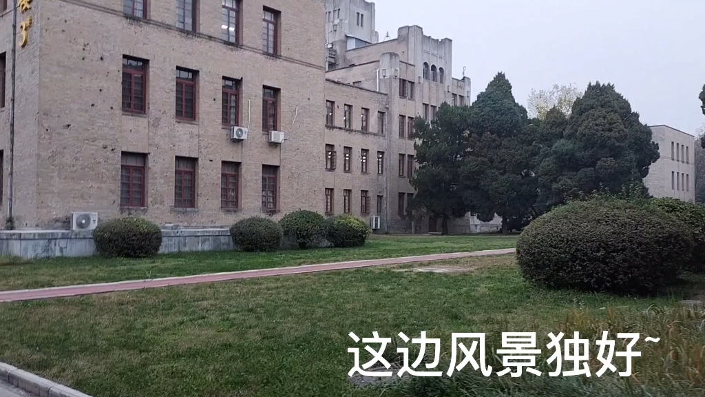 我在西北农林科技大学的一天
