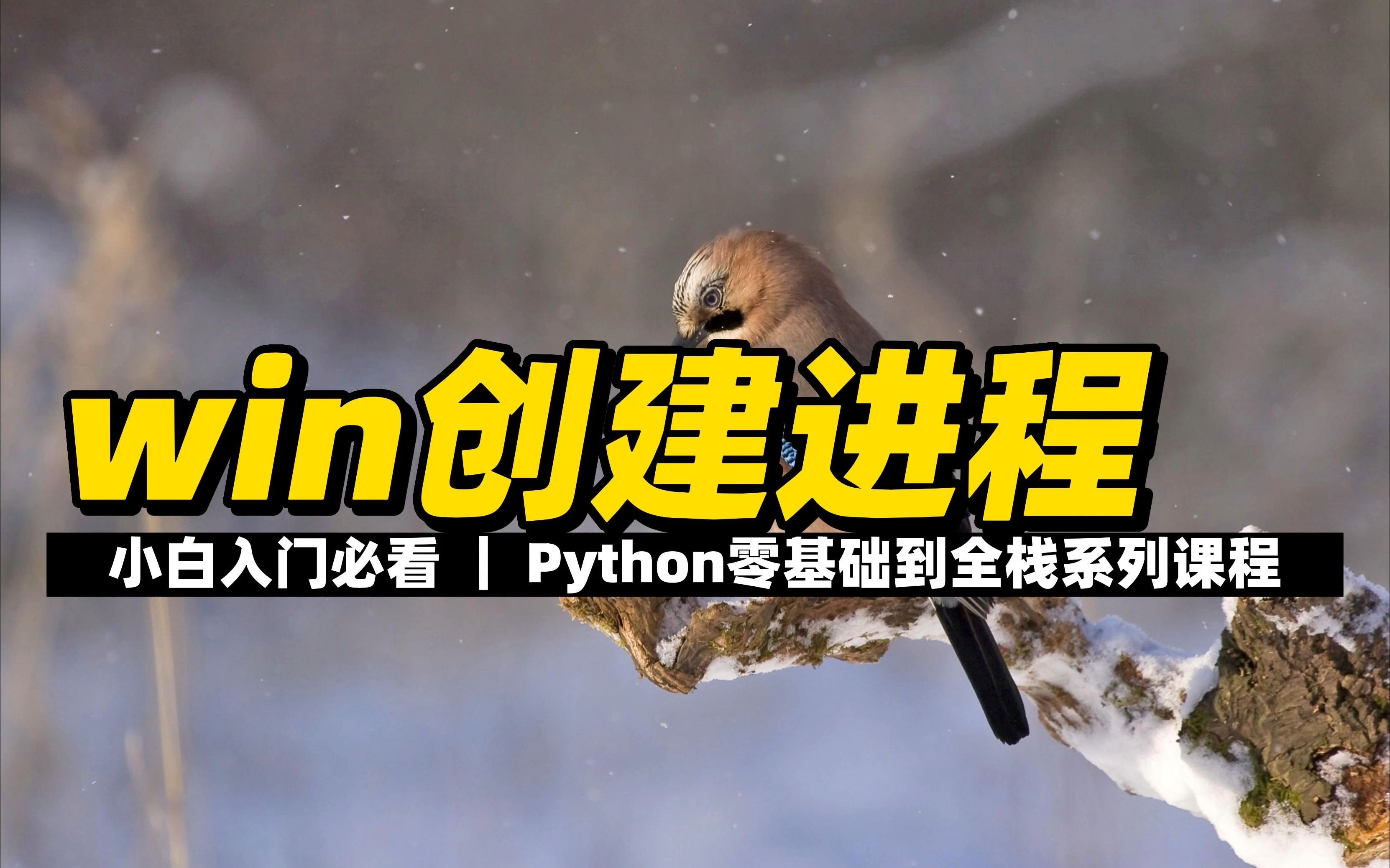 win创建进程 - 《Python零基础到全栈系列》