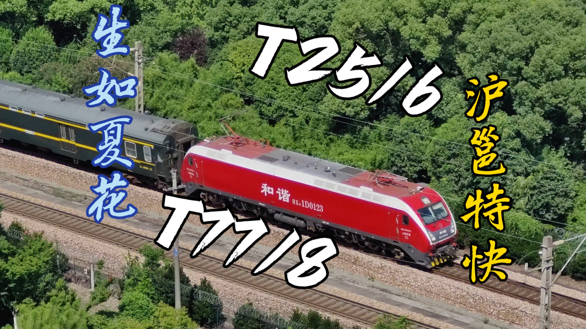 惊鸿一样短暂,夏花一样绚烂:记沪邕特快二姐妹T25/6次、T77/8次