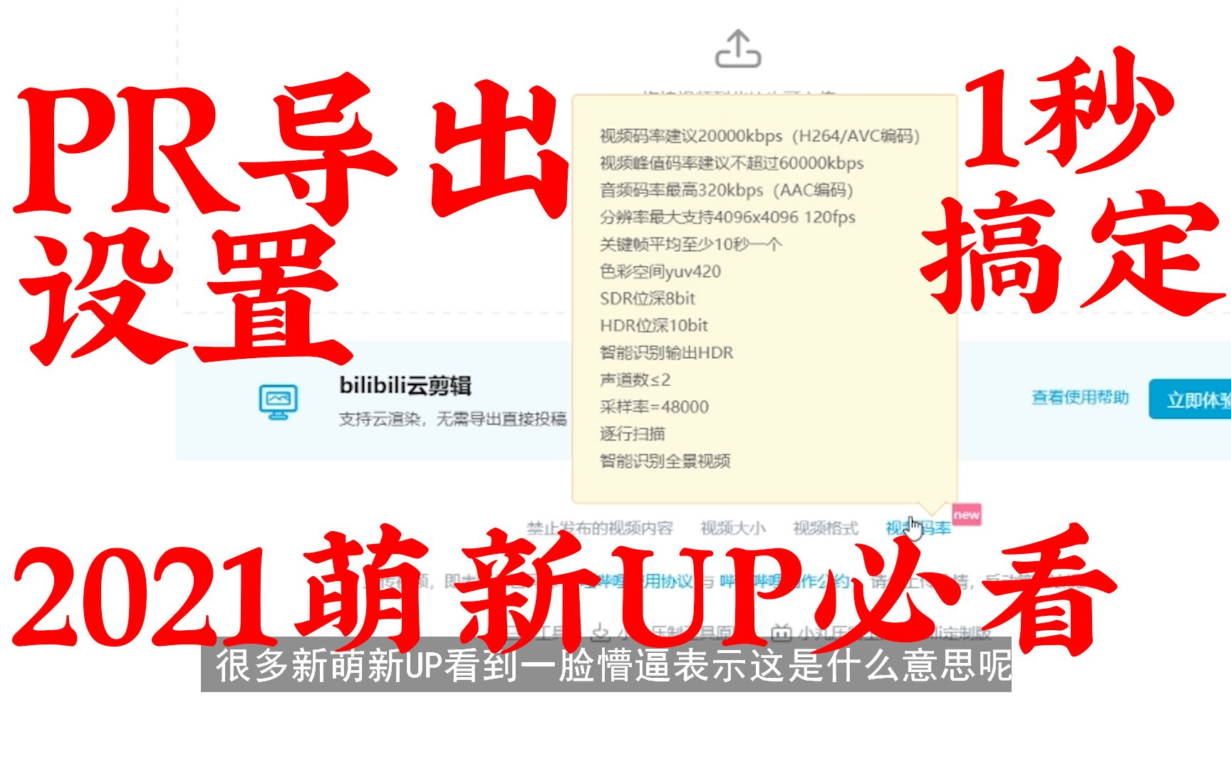 2021年 PR导出视频 B站视频标准格式 萌新UP必看
