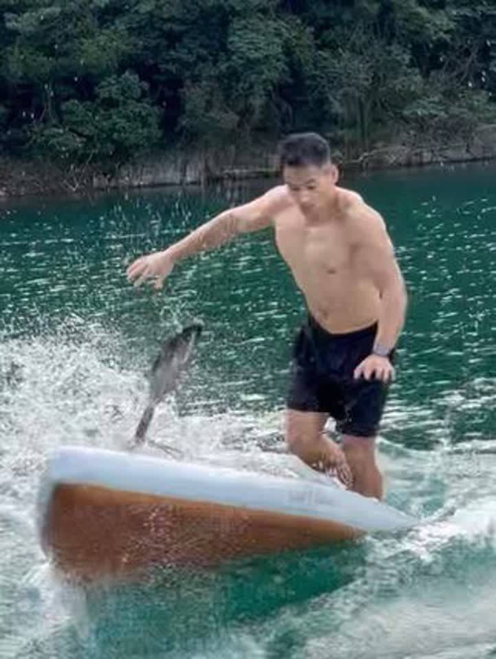 桨板上能做什么?~!