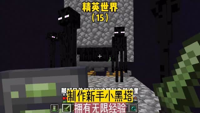 精英世界(15):制作新手小黑塔,拥有无限经验#我的世界 #游戏日常 #...