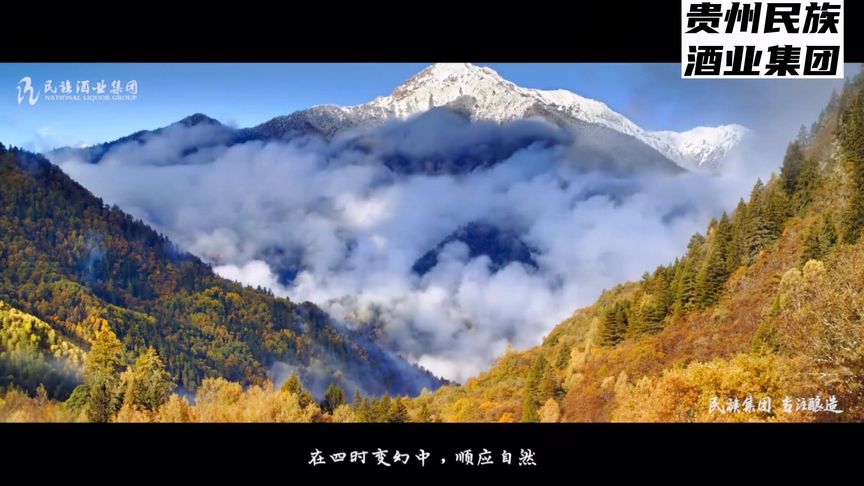 贵州民族酒业集团高级宣传片#茅台镇 #宣传片 #酒文化 #酱香酒
