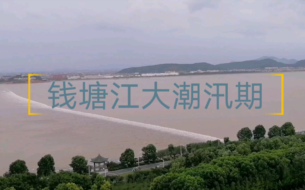 2020年农历六月十五钱塘江大潮观测