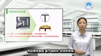 仪器基础视频-气相色谱仪-发展与应用