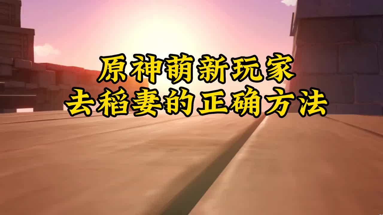 【原神】原神萌新玩家如何用正确的方式去稻妻