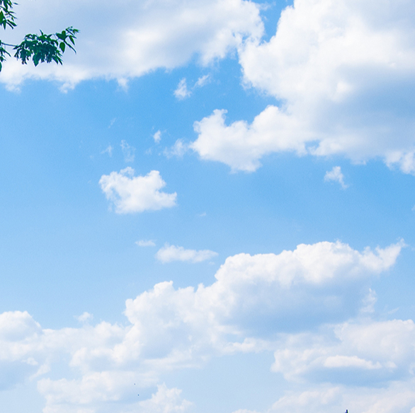 四级英语干货分享 