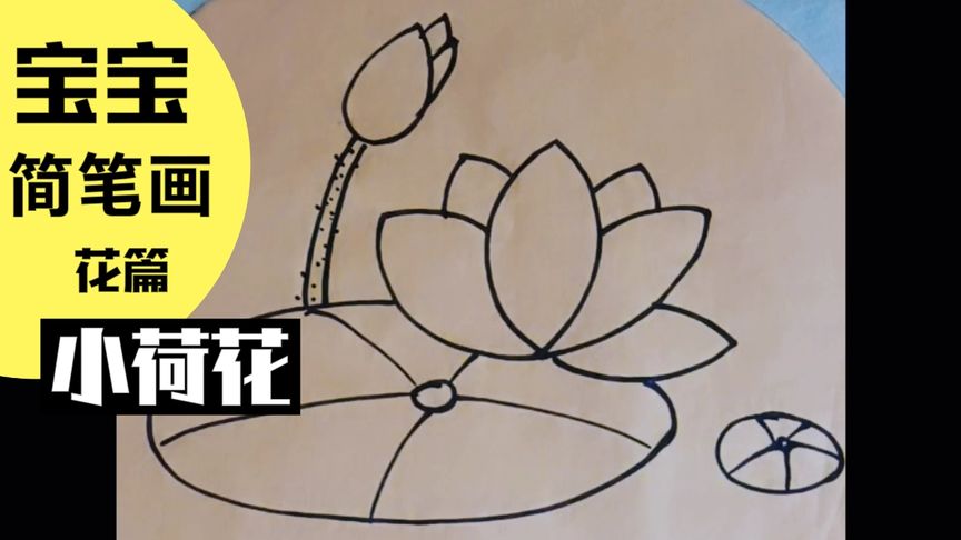 【安莲简笔画】小荷花、荷叶、莲花的画法,画宝宝学画,儿童绘画