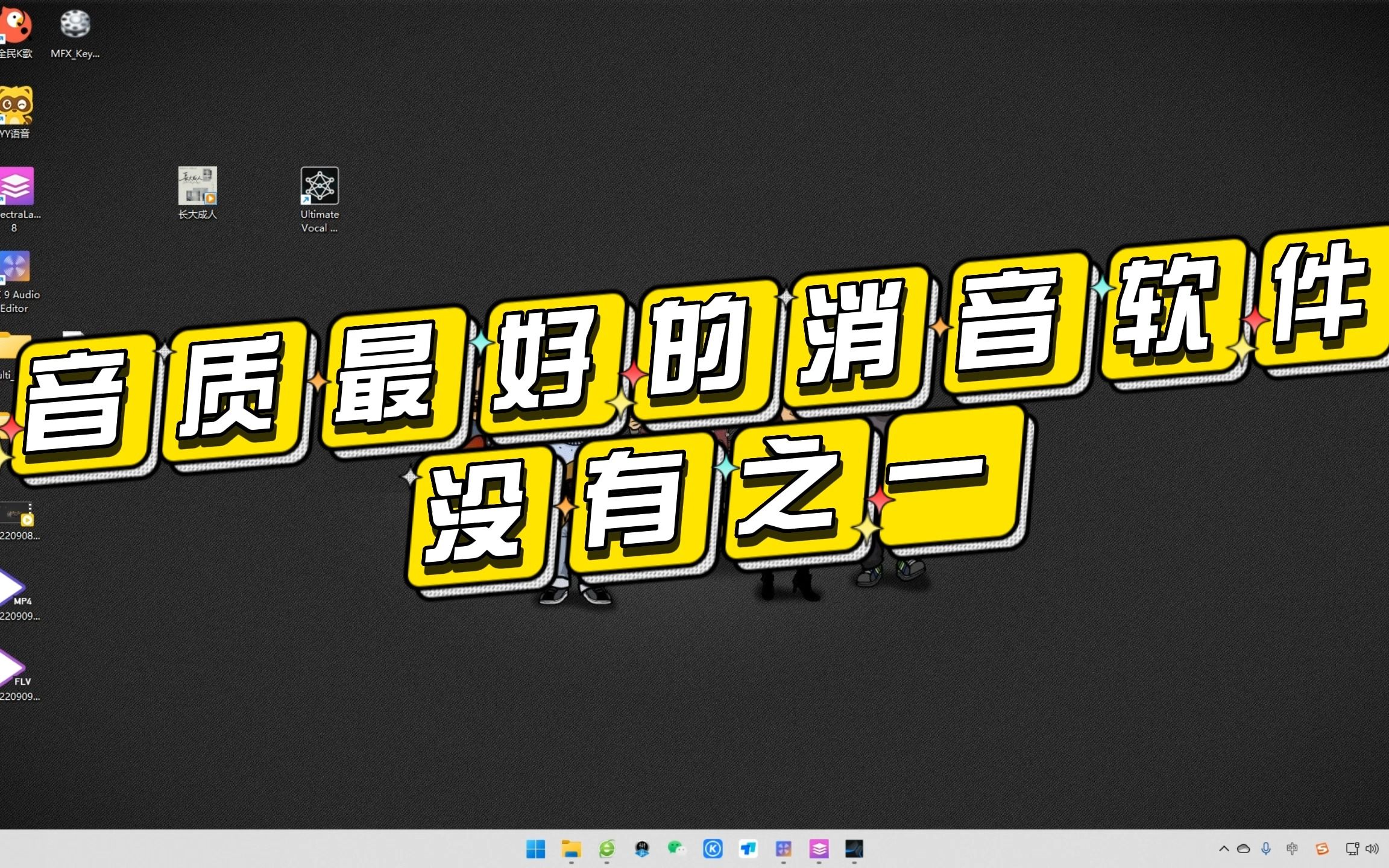 音质最好消音软件UVR 5 没有之一