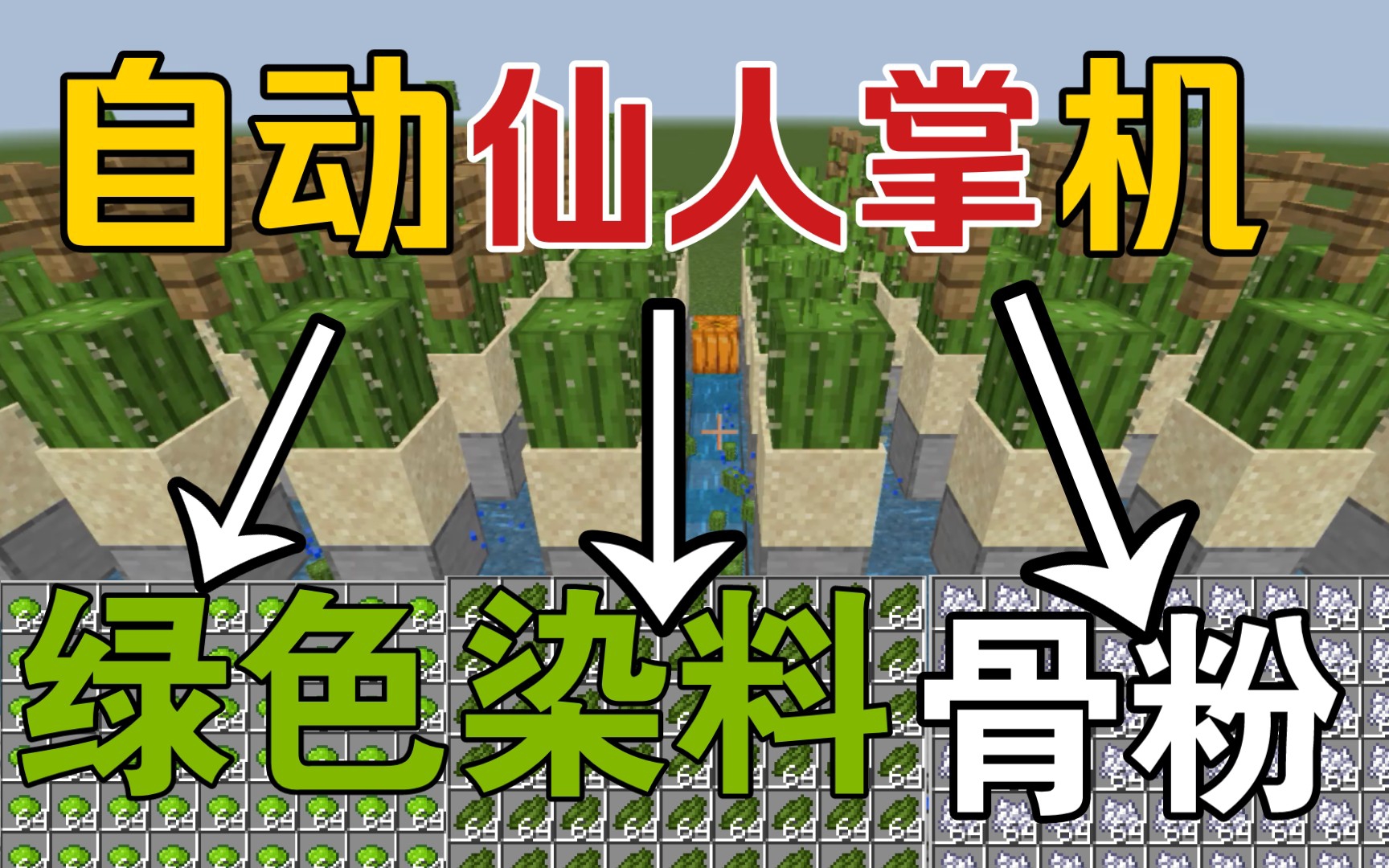 我的世界:自动仙人掌机,建筑党必备,永远不缺绿色染料和骨粉