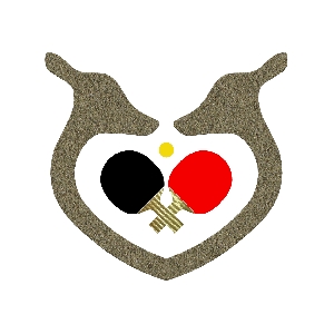 玉鹿体育 
