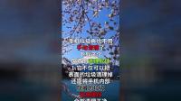 卸载app残留文件删不掉?试试这个app,一键清理完
