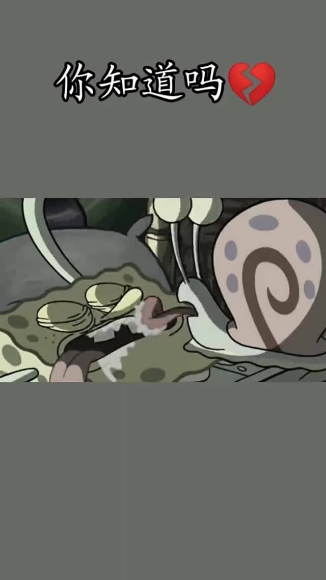 感谢一直陪伴我们的动画