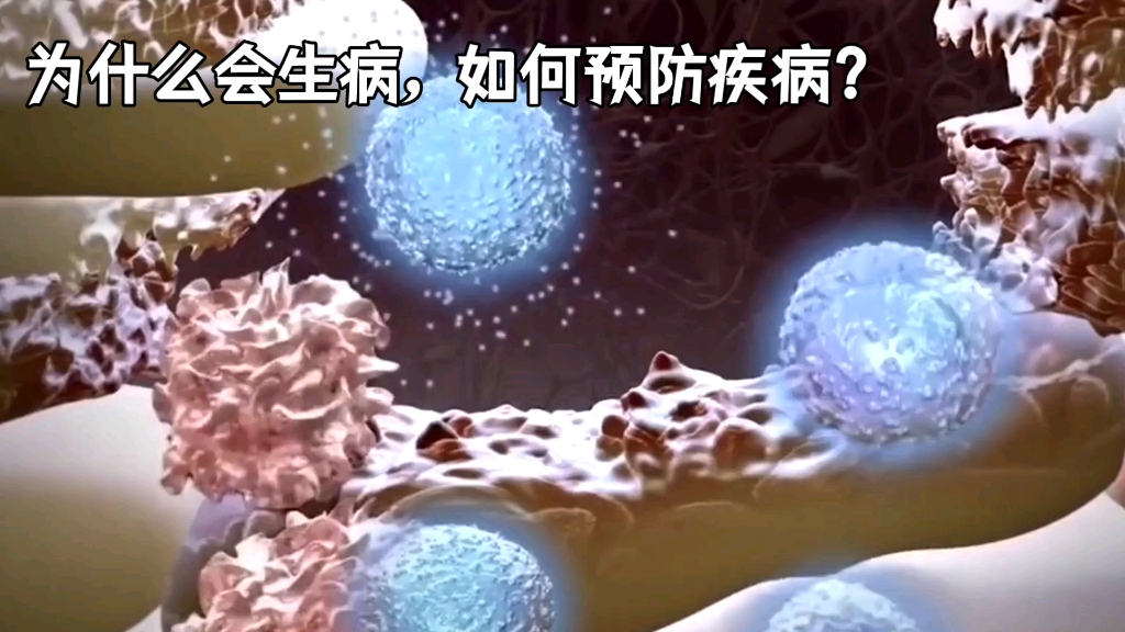 为什么会生病,如何预防疾病?