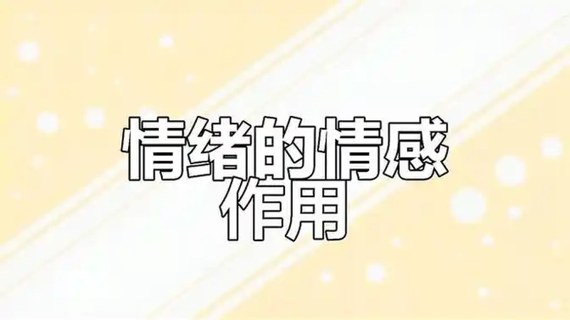 情绪情感的组织与信息功能解析