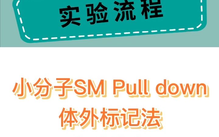 小分子SMpulldown—体外标记法-钟鼎生物