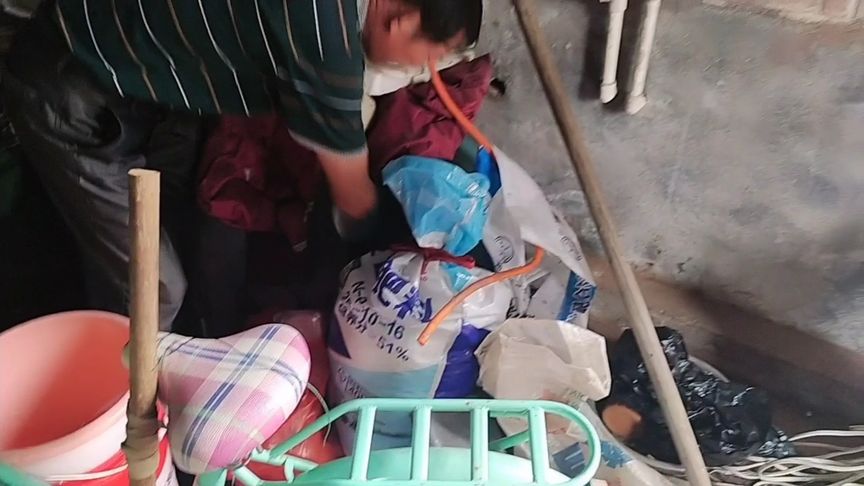 处理无人要的小狗,差点遭母狗咬
