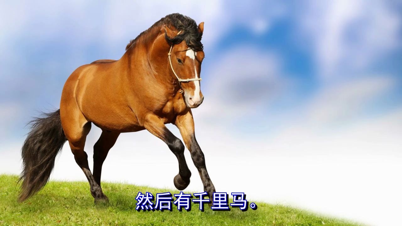 八语下-23-《马说》课文诵读