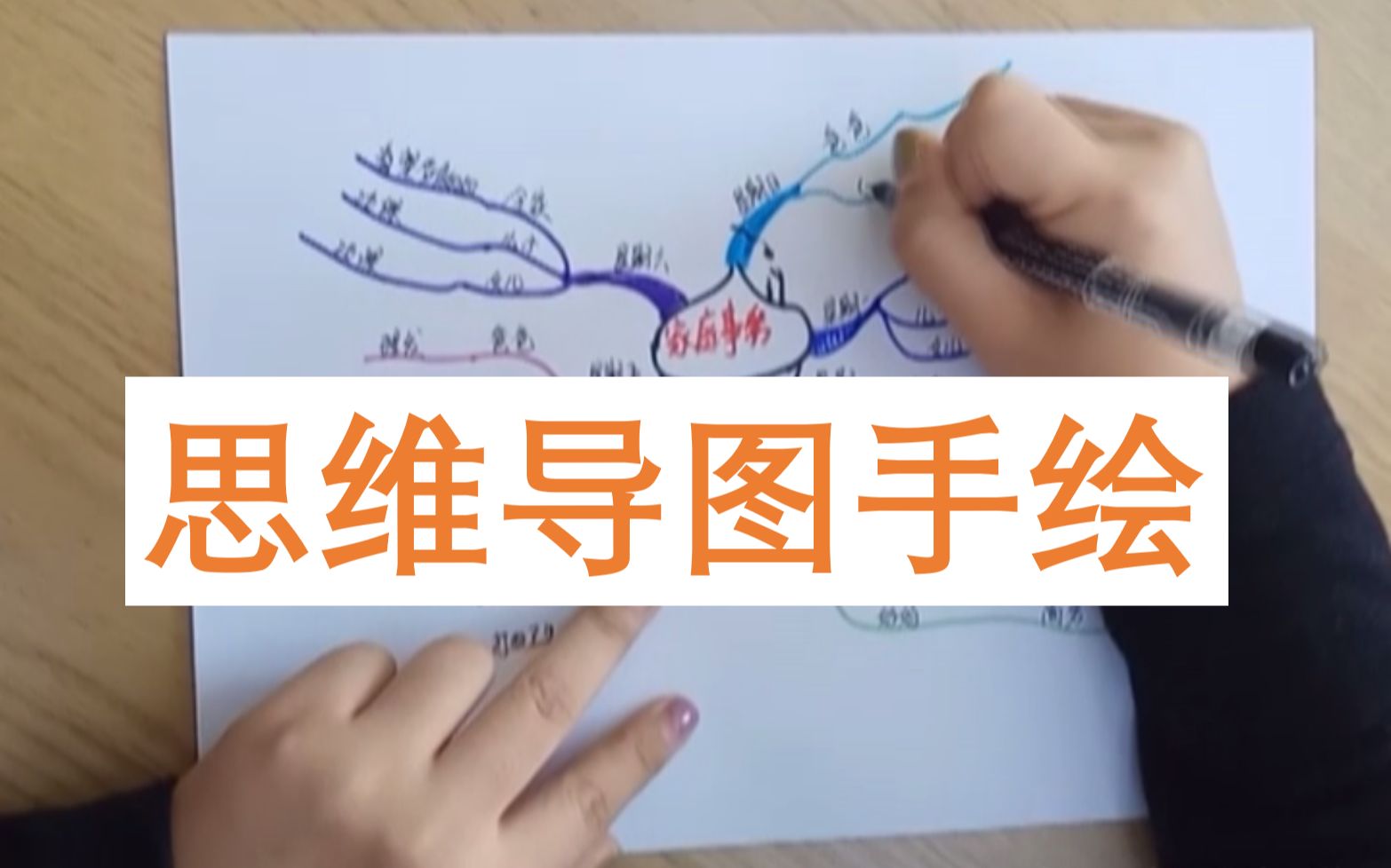 【博士后伴你学】思维导图手绘