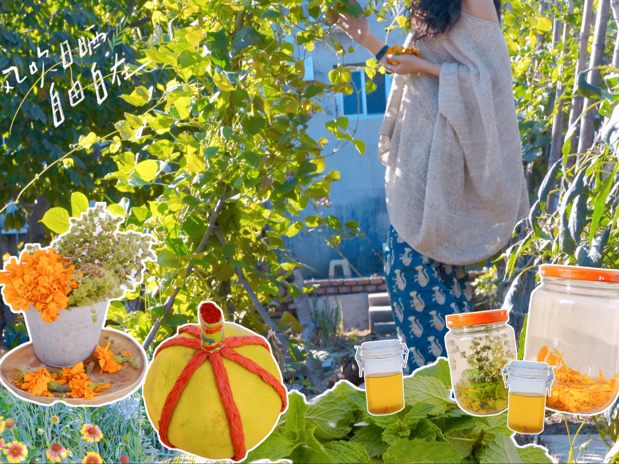 我不再购买护肤品,多亏这3种植物精油大法,顺带留住自家花园气味