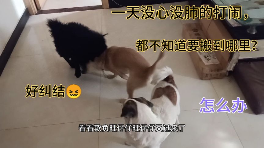 又被隔壁邻居投诉了逼,不知道以后怎么办呢?好纠结,好难!