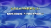 E03第二节 企业分立与纳税筹划0802