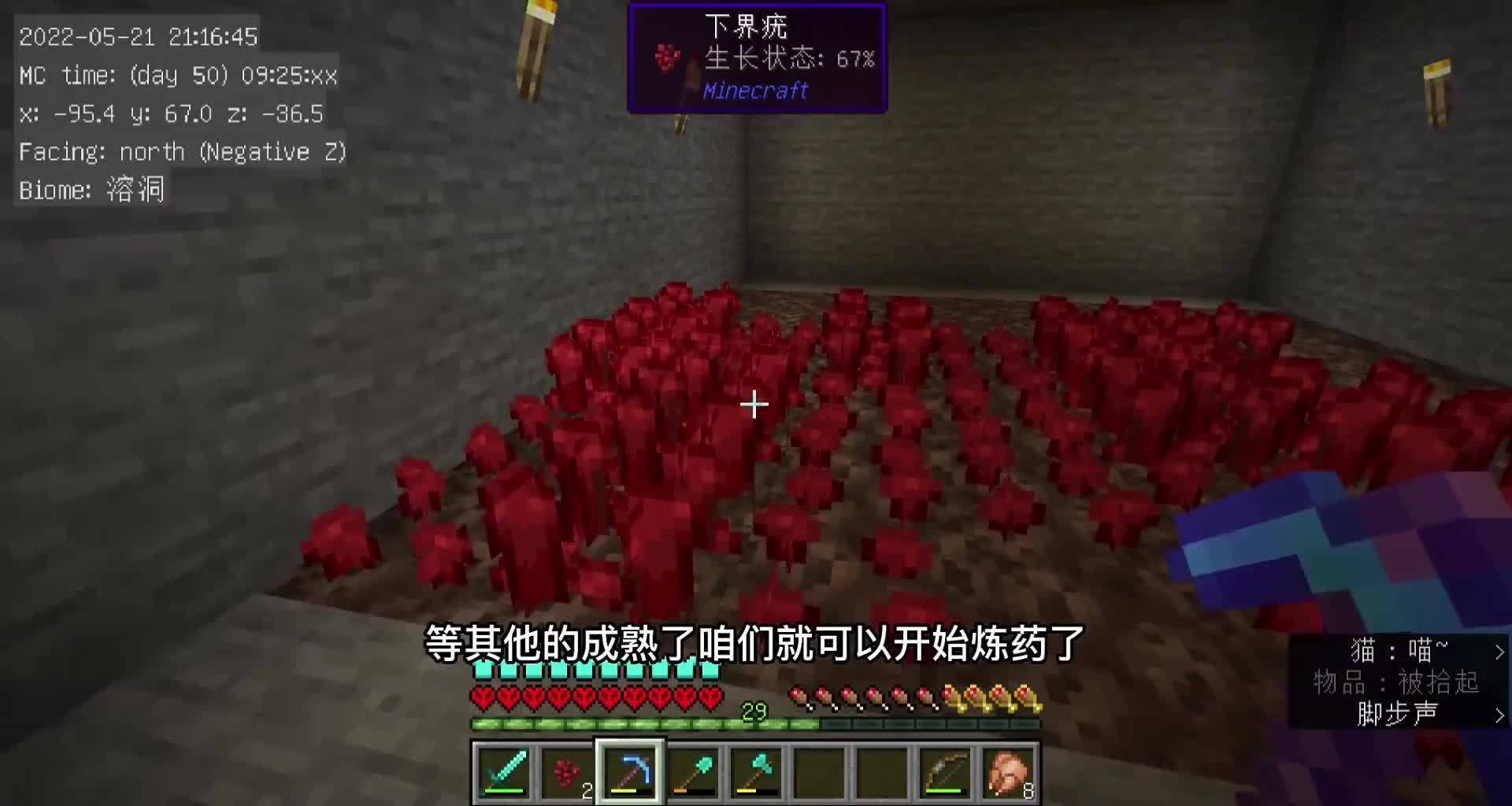 我的世界极限生存50~53天生存记录