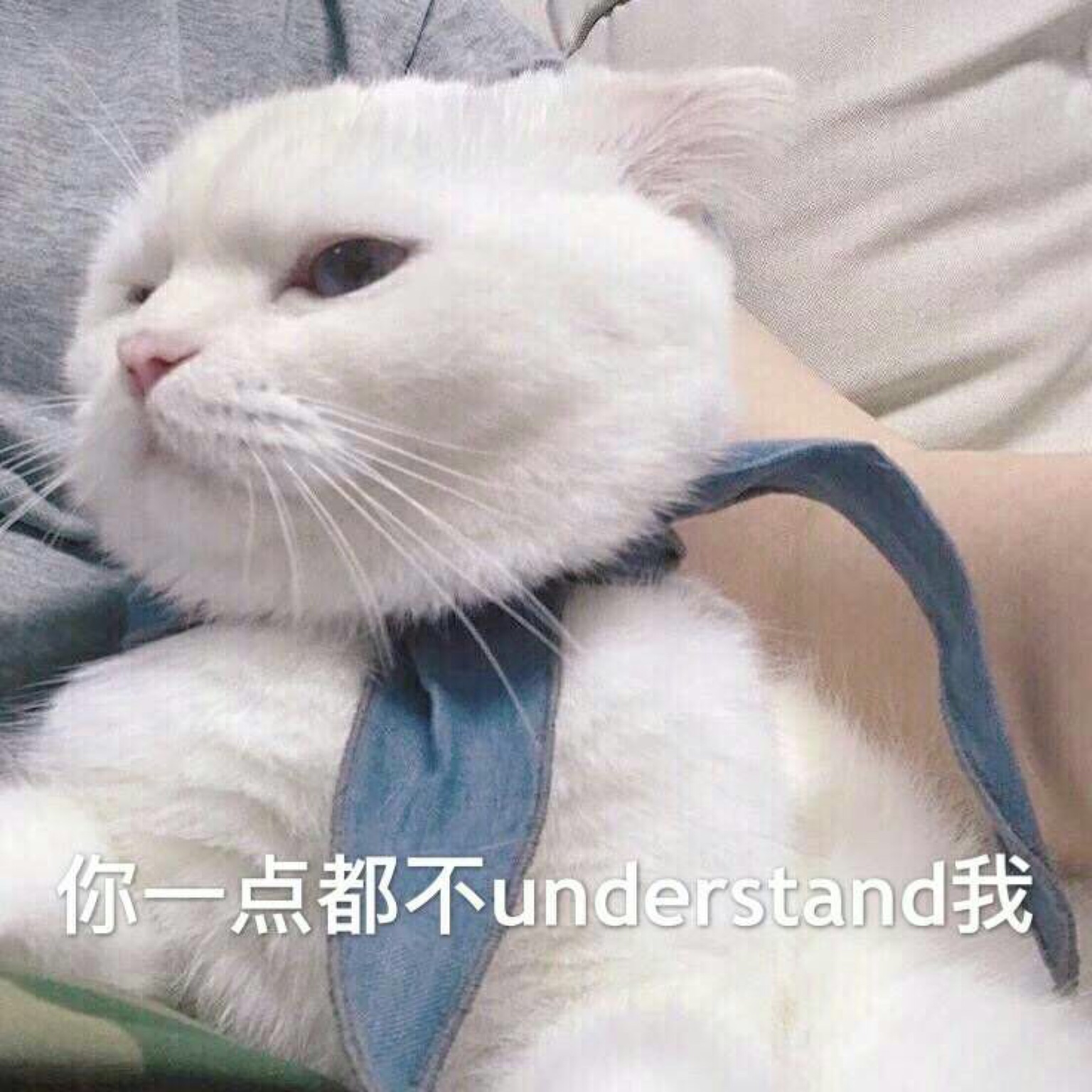 小龙虾味卜卜星 