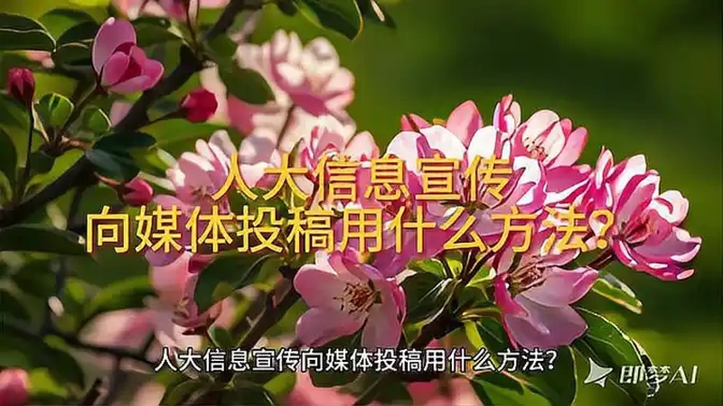 人大信息宣传向媒体投稿用什么方法?