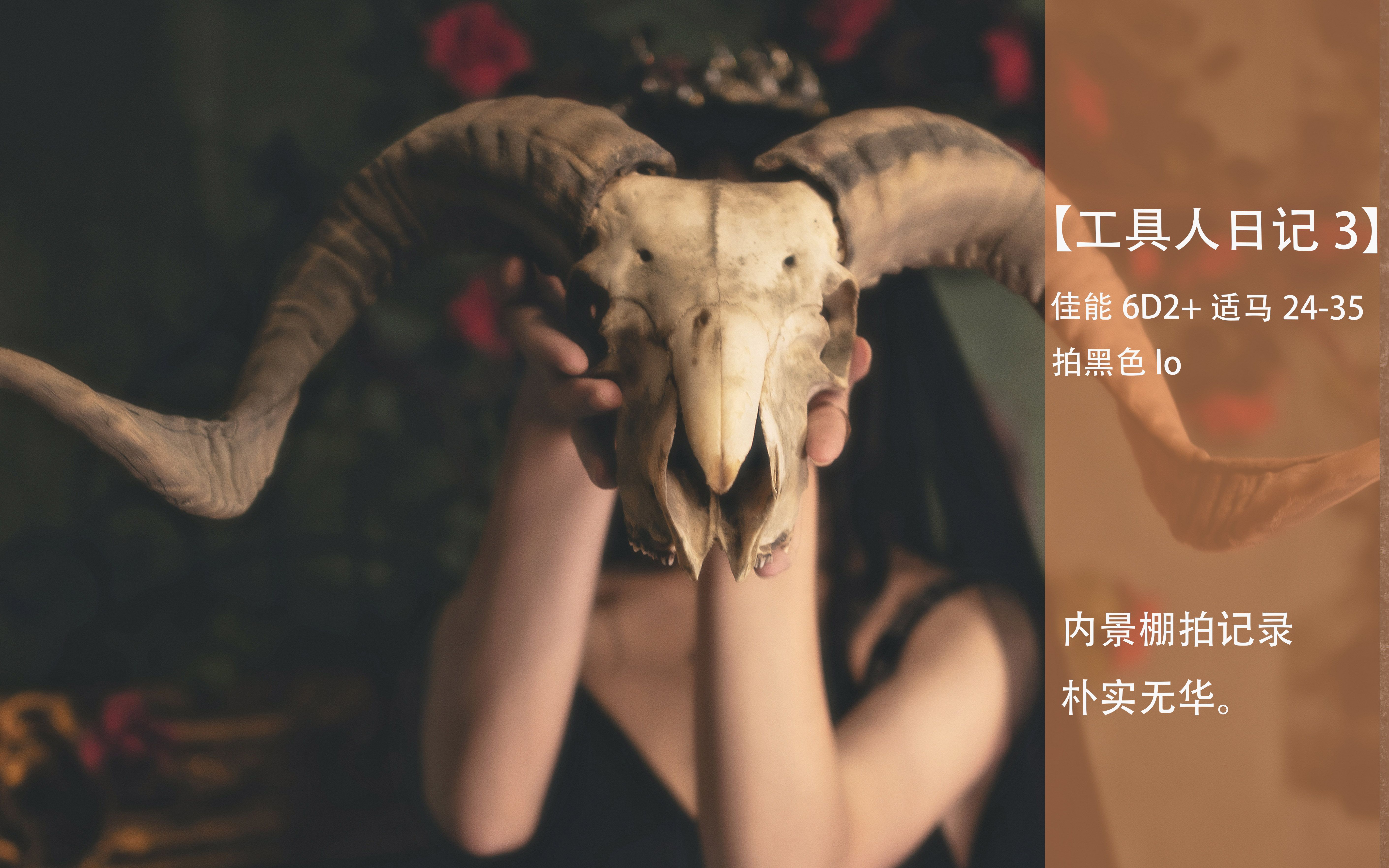 【工具人日记03】飞宇AK4500拍视频,第一次录内景的棚拍记录