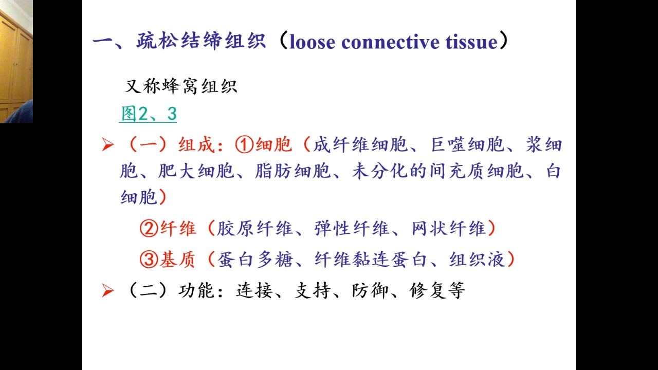 组胚课程第三讲 结缔组织、血液