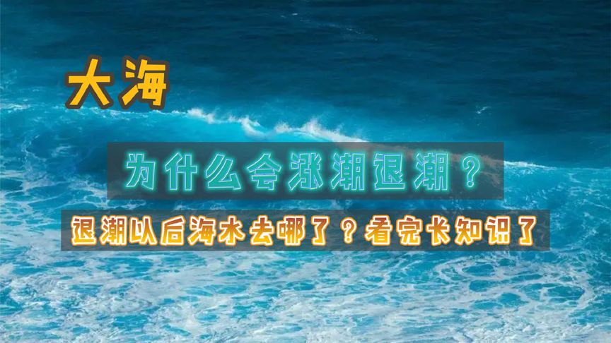大海为什么会涨潮退潮?退潮以后海水去哪了?看完长知识了