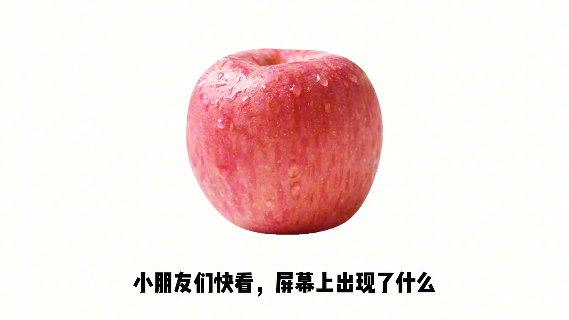 人教版一年级数学(上):5以内数的认识和加减法