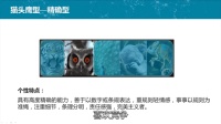职场中如何和猫头鹰型的员工相处?