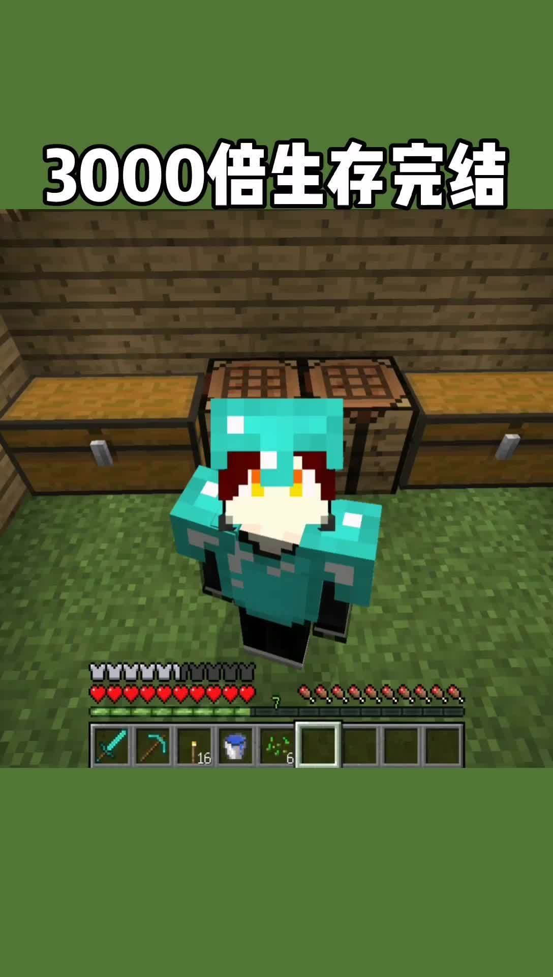 叶枫我的世界:很刺激的结局