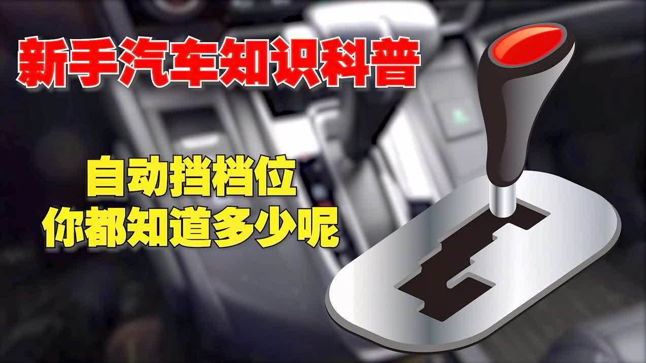 新手汽车知识科普,自动挡上面的档位,你都知道多少呢?