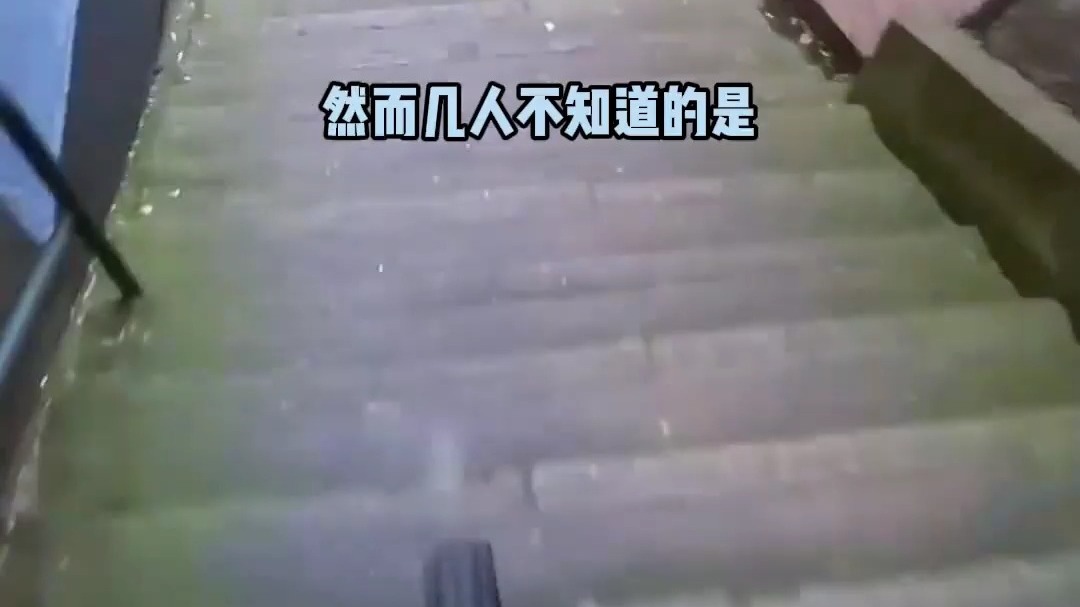 你觉醒了十分罕见的人形态御兽魅魔可他开口的第一句话却是拒绝与你...