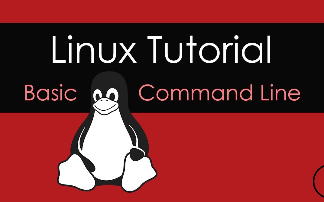 The 50 Most Popular Linux & Terminal Commands - Full Course for ...