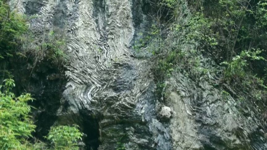 5亿年前亚欧板块和印度板块猛烈碰撞形成的大纹皱,生命太脆弱了